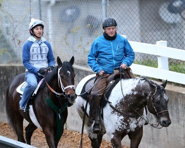 Bravazo - Horse Profile - BloodHorse