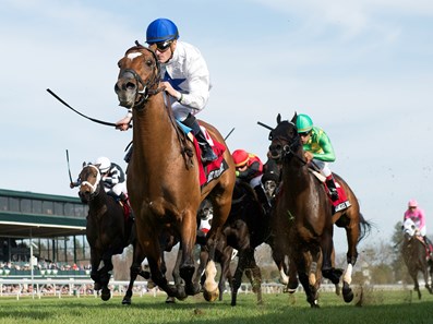 Heart to Heart - Horse Profile - BloodHorse