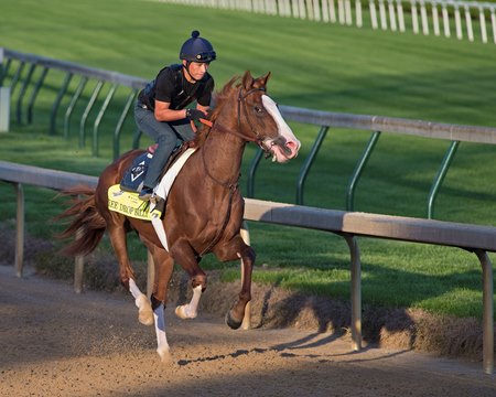 Free Drop Billy, Promises Fulfilled on Schedule - BloodHorse