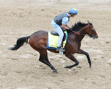 Lone Sailor - Horse Profile - BloodHorse