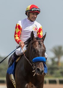 Heck Yeah - Horse Profile - BloodHorse