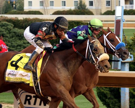 The Week in Photos 4/24/2018 - Slideshow - BloodHorse