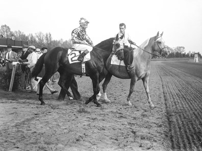 Round Table - Horse Profile - BloodHorse