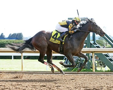 Big Dollar Bill - Horse Profile - BloodHorse