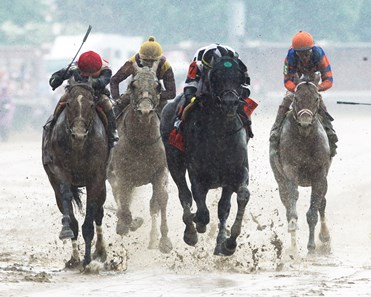 Limousine Liberal - Horse Profile - BloodHorse