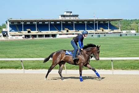 Seven-Day Racing Schedule at Timonium Announced - BloodHorse