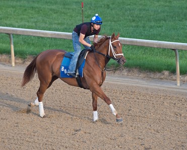 Thoroughbred News, Sire Lists, Blogs, Video, Pedigree Analysis, Special ...