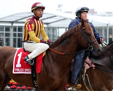Irish War Cry - Horse Profile - BloodHorse