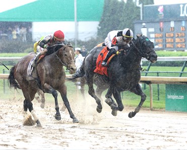 Limousine Liberal - Horse Profile - BloodHorse
