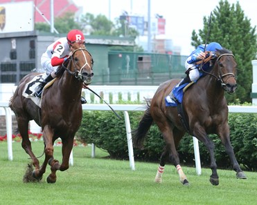 Done Deal - Horse Profile - BloodHorse