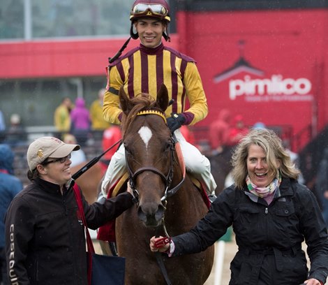 Irish War Cry Rewards Patience With Pimlico Special Win - BloodHorse