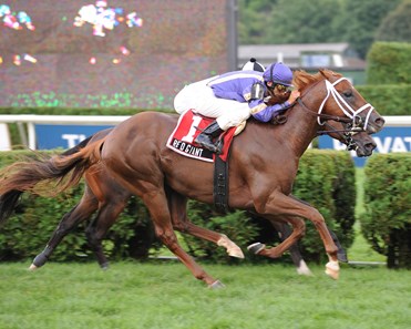 Red Giant - Horse Profile - BloodHorse