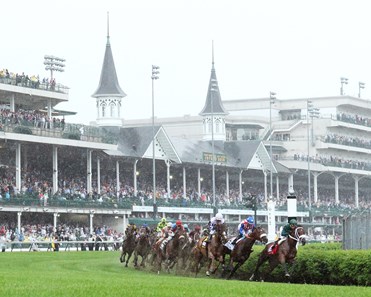 Maraud - Horse Profile - BloodHorse