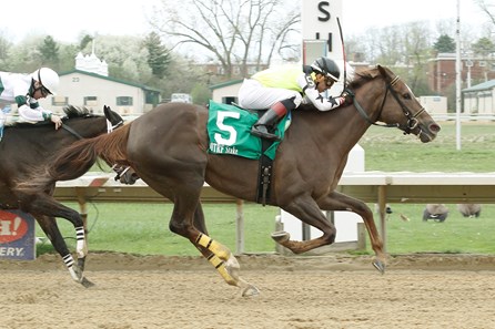 Leona's Reward - Horse Profile - BloodHorse