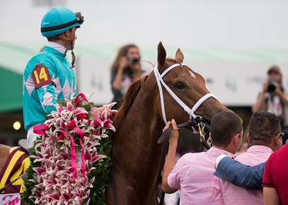 Monomoy Girl - Horse Profile - BloodHorse