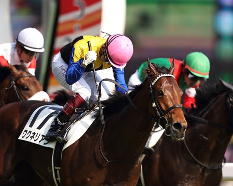 Two Japanese Derby Winners Face Off in Osaka Hai - BloodHorse
