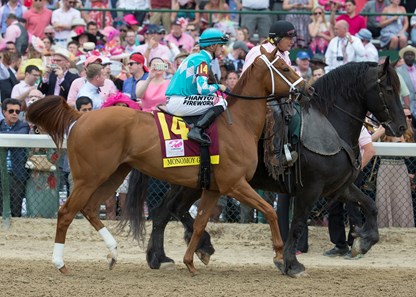 Monomoy Girl - Horse Profile - BloodHorse