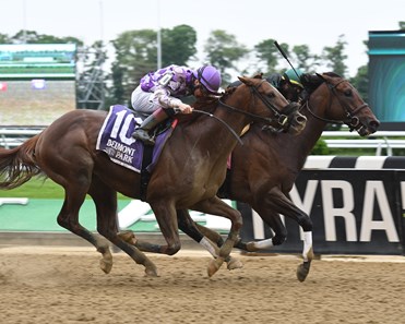 Diversify - Horse Profile - BloodHorse