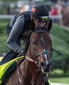 Bolt d'Oro - Horse Profile - BloodHorse