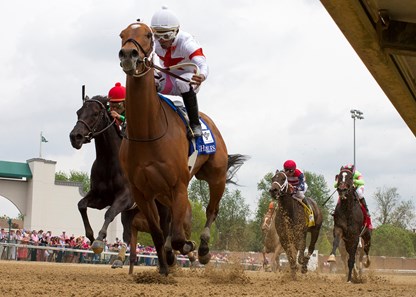 Eight Belles - Horse Profile - BloodHorse