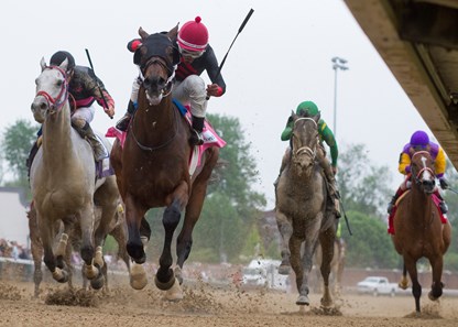 Lookin At Lee - Horse Profile - BloodHorse