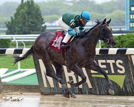 Abyssinian First Winner for Cairo Prince - BloodHorse