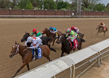 Eight Belles - Horse Profile - BloodHorse