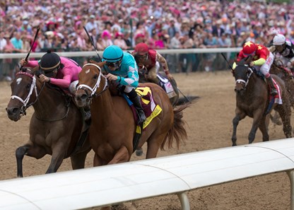 Monomoy Girl - Horse Profile - BloodHorse