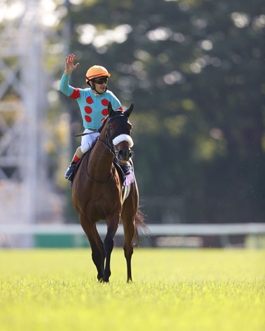 Almond Eye Takes Second Leg of Japan's Triple Tiara - BloodHorse