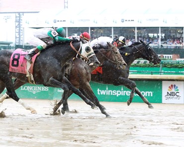 Limousine Liberal - Horse Profile - BloodHorse