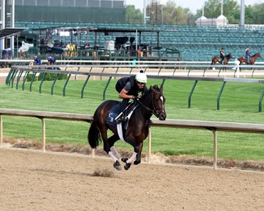 Rushing Fall - Horse Profile - BloodHorse