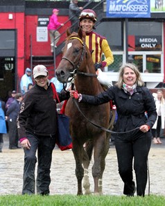 Irish War Cry - Horse Profile - BloodHorse