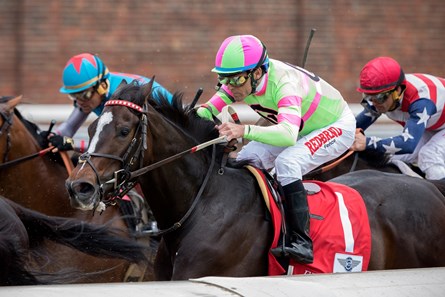 Eight Belles - Horse Profile - BloodHorse