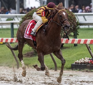 Irish War Cry - Horse Profile - BloodHorse