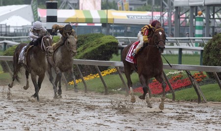 Irish War Cry - Horse Profile - BloodHorse