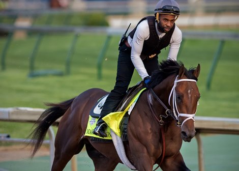 Surgery Successful for Magnum Moon, Long Road Ahead - BloodHorse