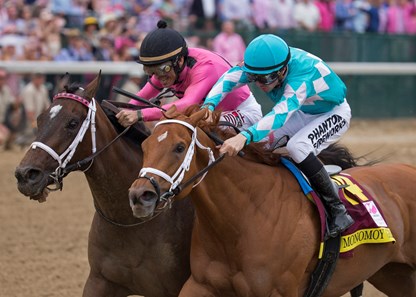 Monomoy Girl - Horse Profile - BloodHorse