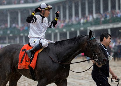 Limousine Liberal - Horse Profile - BloodHorse