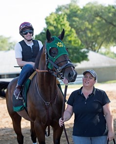 Bolt d'Oro - Horse Profile - BloodHorse