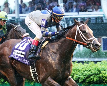 Maraud - Horse Profile - BloodHorse