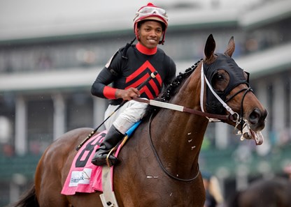 Lookin At Lee - Horse Profile - BloodHorse