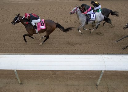 Lookin At Lee - Horse Profile - BloodHorse