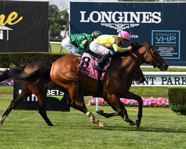 Fourstar Crook - Horse Profile - BloodHorse