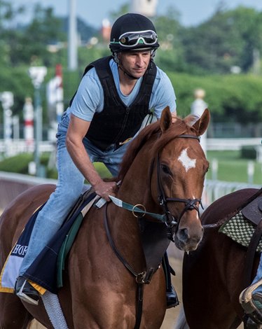 Classic-Placed Hofburg Could Return in Curlin Stakes - BloodHorse