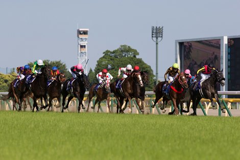 Japan Racing Association Announces 2020 Racing Dates - BloodHorse