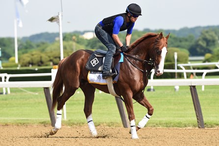 Free Drop Billy - Horse Profile - BloodHorse