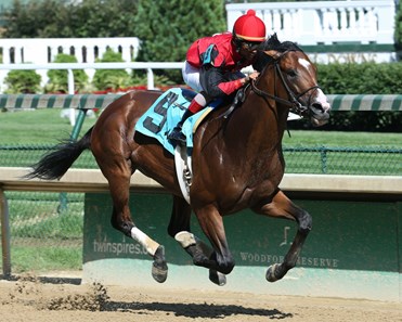 C Z Rocket - Horse Profile - BloodHorse