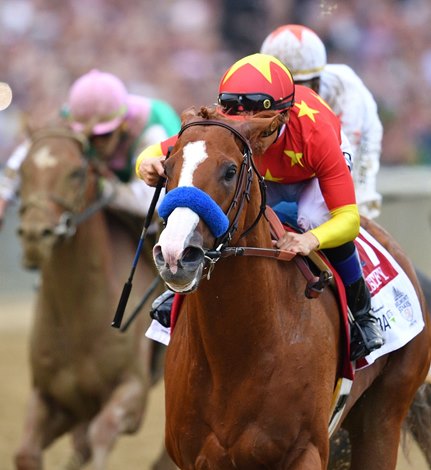 A Look Back at the Year in Racing - BloodHorse