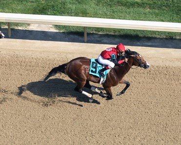 C Z Rocket - Horse Profile - BloodHorse