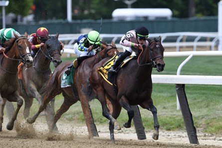 Lewis Bay - Horse Profile - BloodHorse